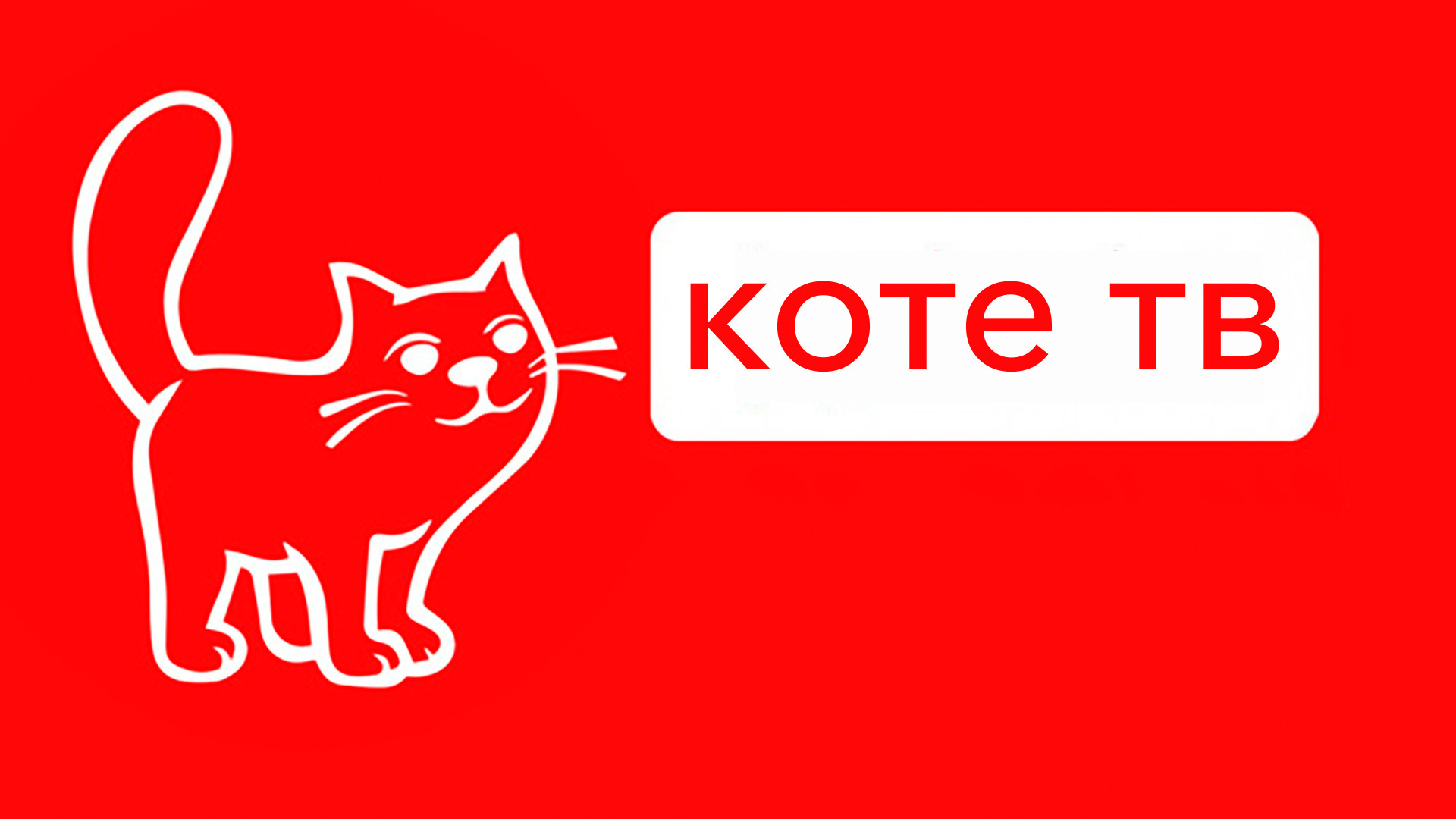 Коте ТВ (мультсериал, 2018, 1 сезон) смотреть онлайн в хорошем качестве ...