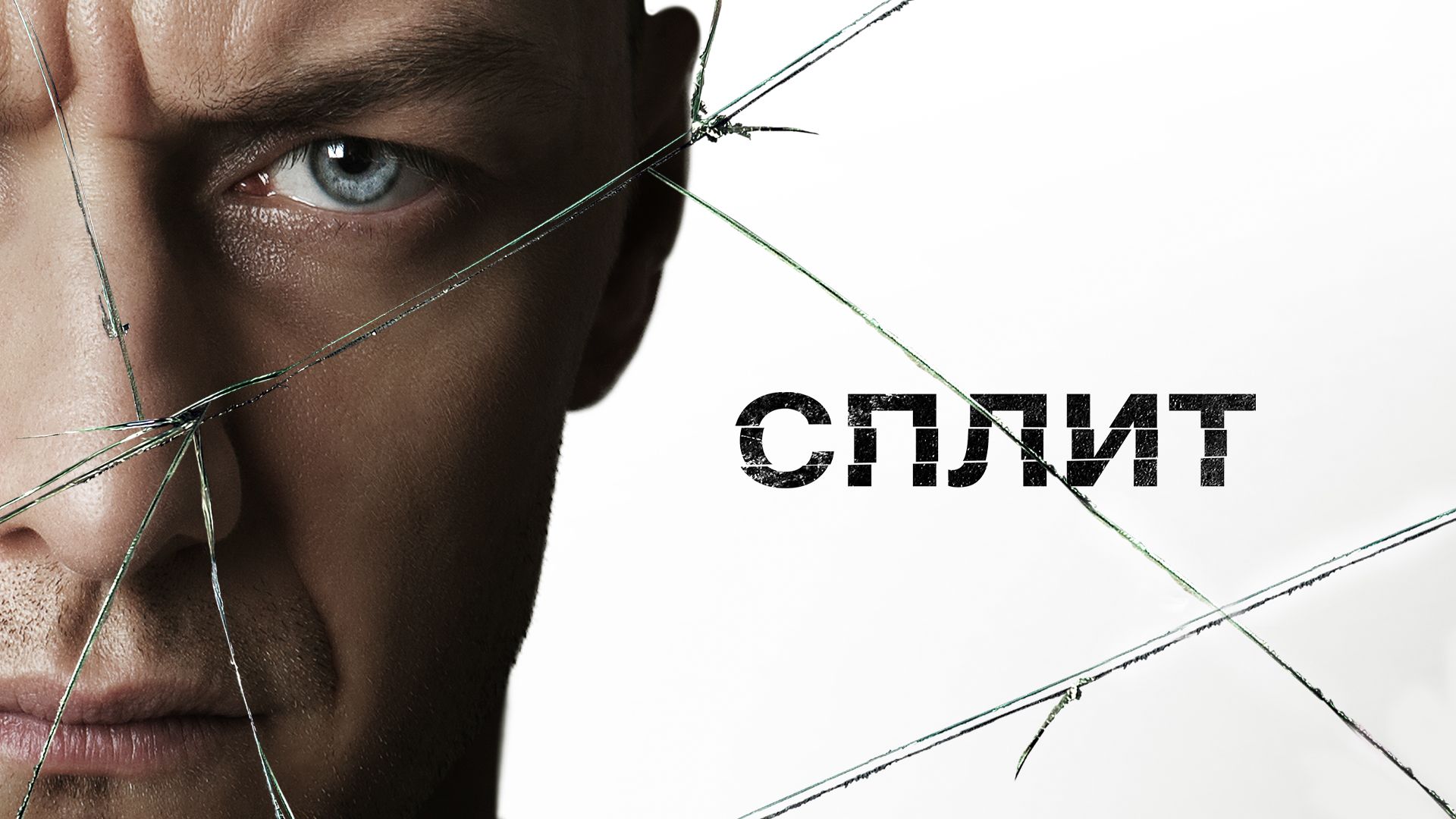 split fim