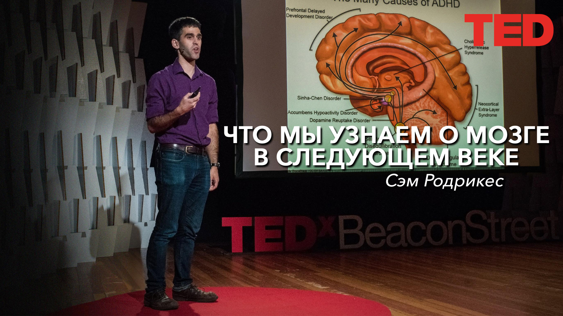 Что мы узнаем о мозге в следующем веке | Сэм Родрикес (фильм, 2017 ...