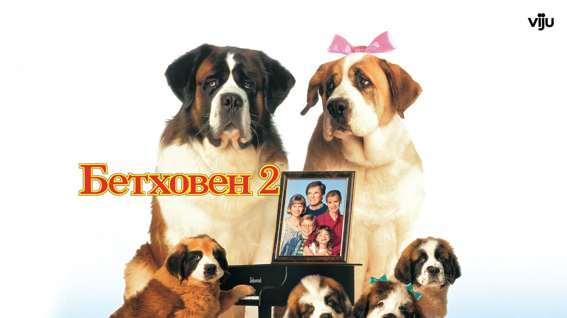 Бетховен 2 (фильм, 1993) смотреть онлайн в хорошем качестве