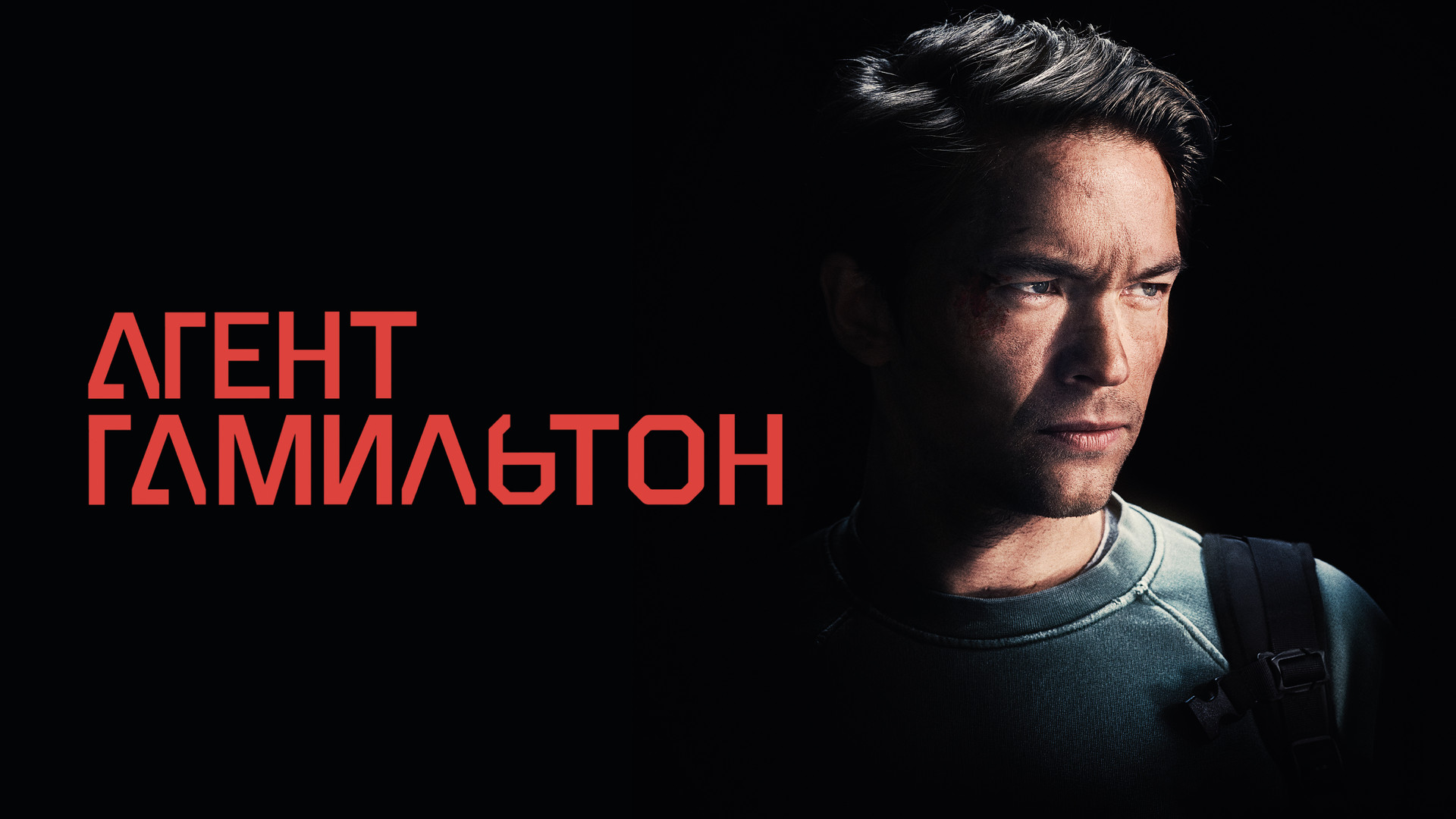Агент Гамильтон (сериал, 2020) смотреть онлайн в хорошем качестве HD ...